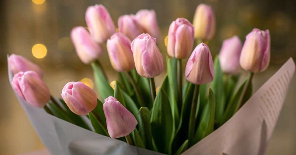 20 Philias Explained – Find Out What Kind Of -Phile You Are