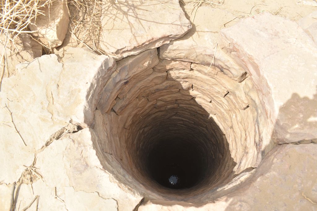 “बेरियों से प्रतिदिन 10 घड़े पानी निकालने में पूरा दिन निकल जाता है”