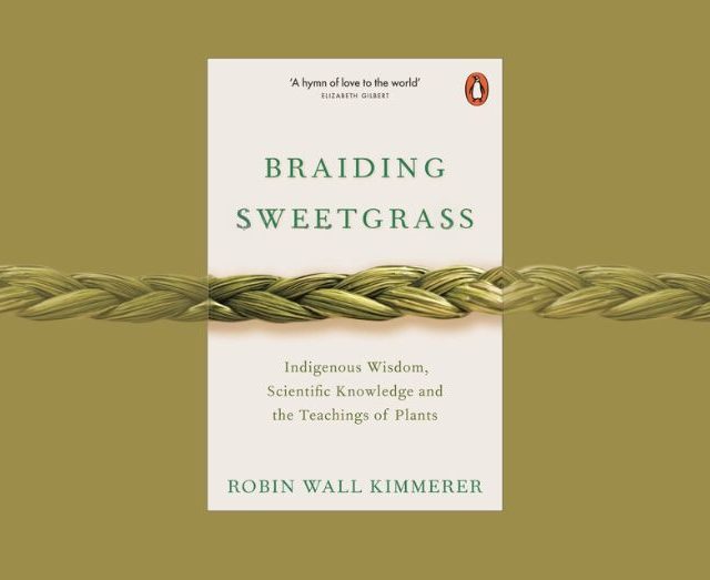 ‘Braiding Sweetgrass’ Reminds Us Of A Fundamental Truth About Our Future