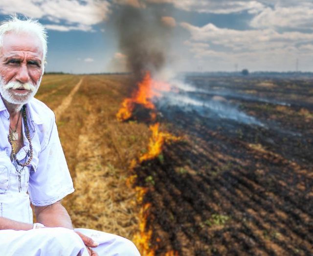 8 Districts, 450+ Farmers: I Saw Stubble’s Burning’s Human Cost In ...