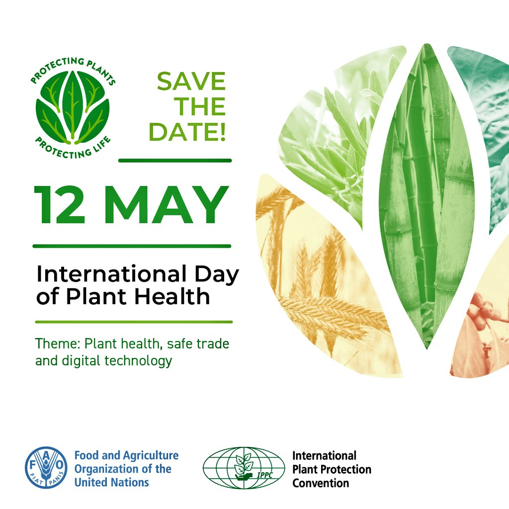 Relevance Of International Day Of Plant Health In Climate Change Era ...