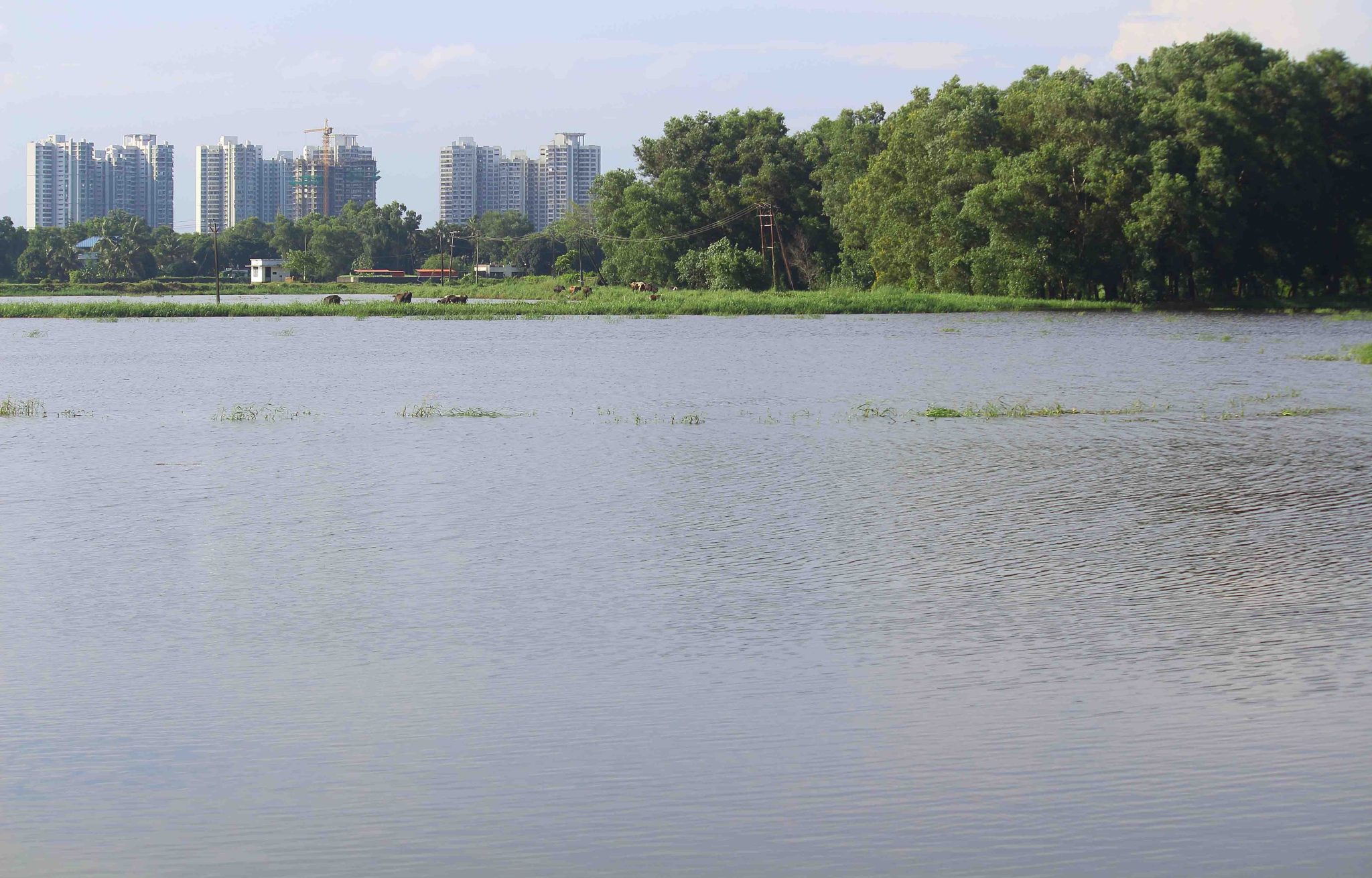 Nature Conservation In India - Greed, Bureaucratic Hurdles And ...