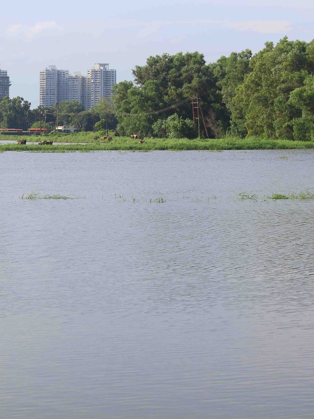 Nature Conservation In India - Greed, Bureaucratic Hurdles And ...
