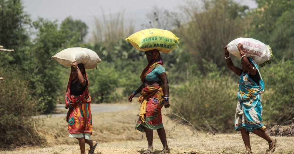 Real Rural Wage Growth In India Has Remained Stagnant