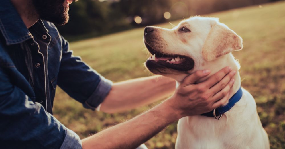 What Our Bond With Animals Teaches Us About Humanity | Youth Ki Awaaz