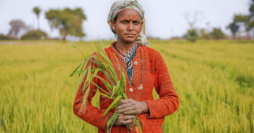 How Mayilamma Fought Against Coca-Cola’s Ground Water Exploitation ...